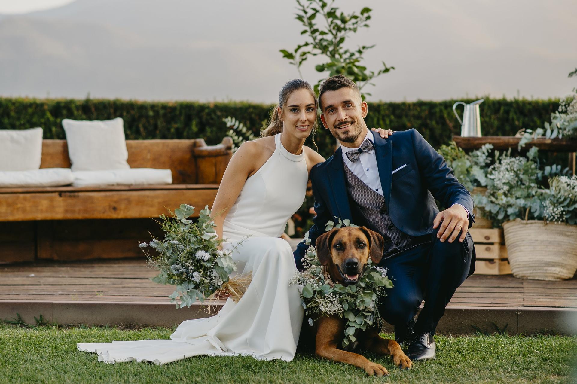 Bodas con perros. 7 maneras de incluirlos el gran día