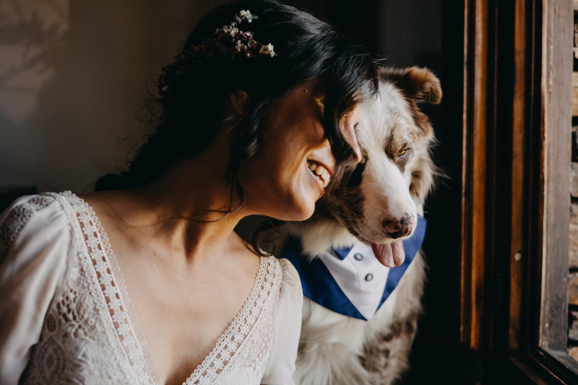 Bodas con perros. 7 maneras de incluirlos el gran día