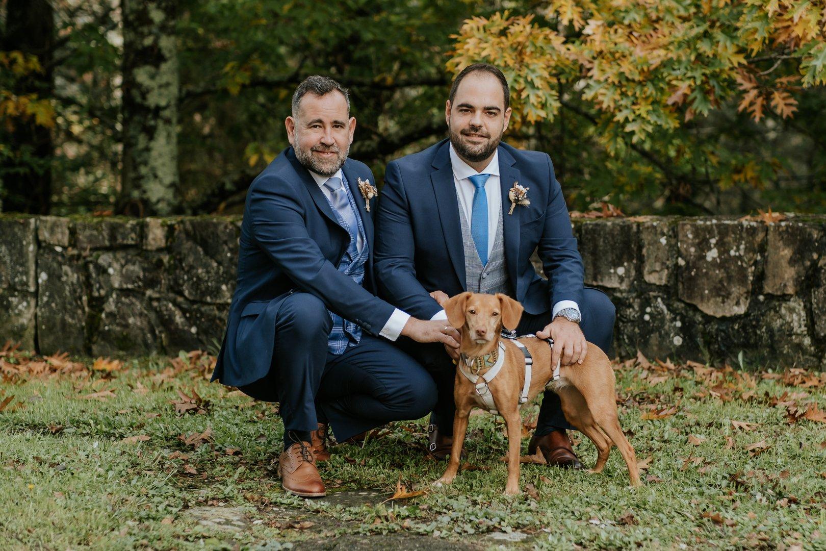Bodas con perros. 7 maneras de incluirlos el gran día