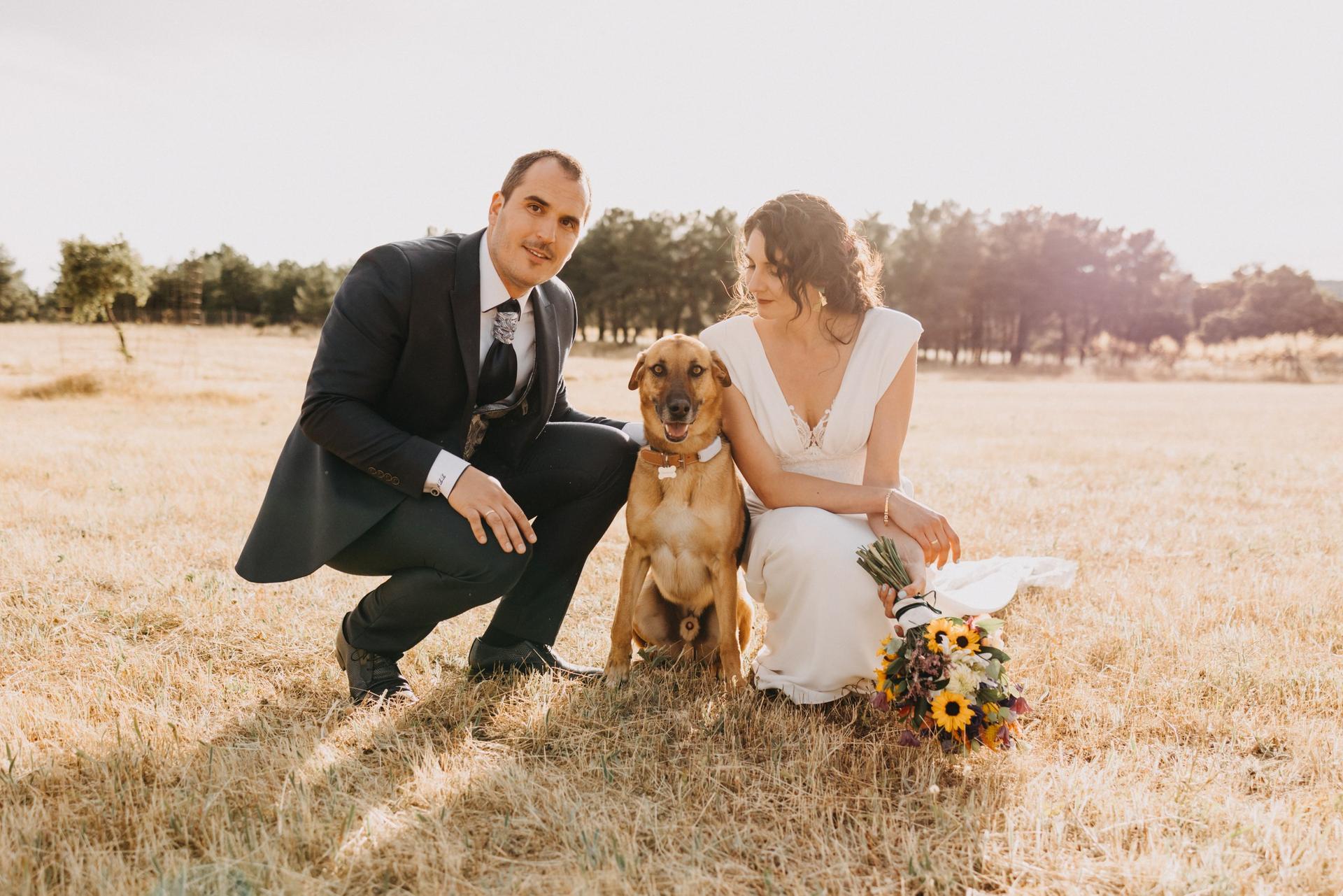 Bodas con perros. 7 maneras de incluirlos el gran día