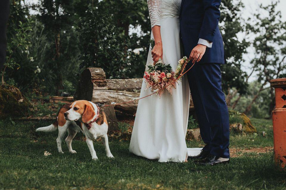 Bodas con perros. 7 maneras de incluirlos el gran día