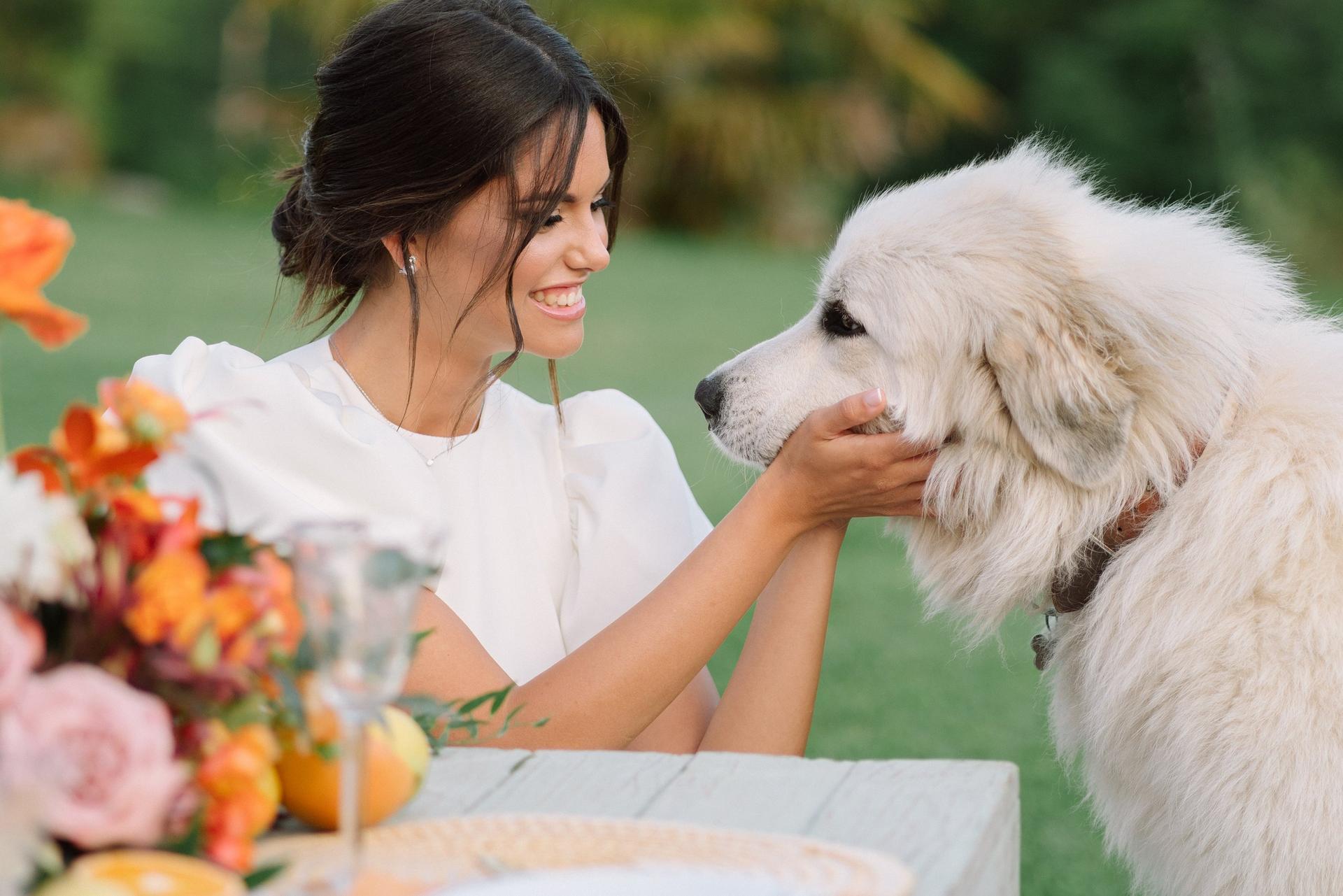 Bodas con perros. 7 maneras de incluirlos el gran día