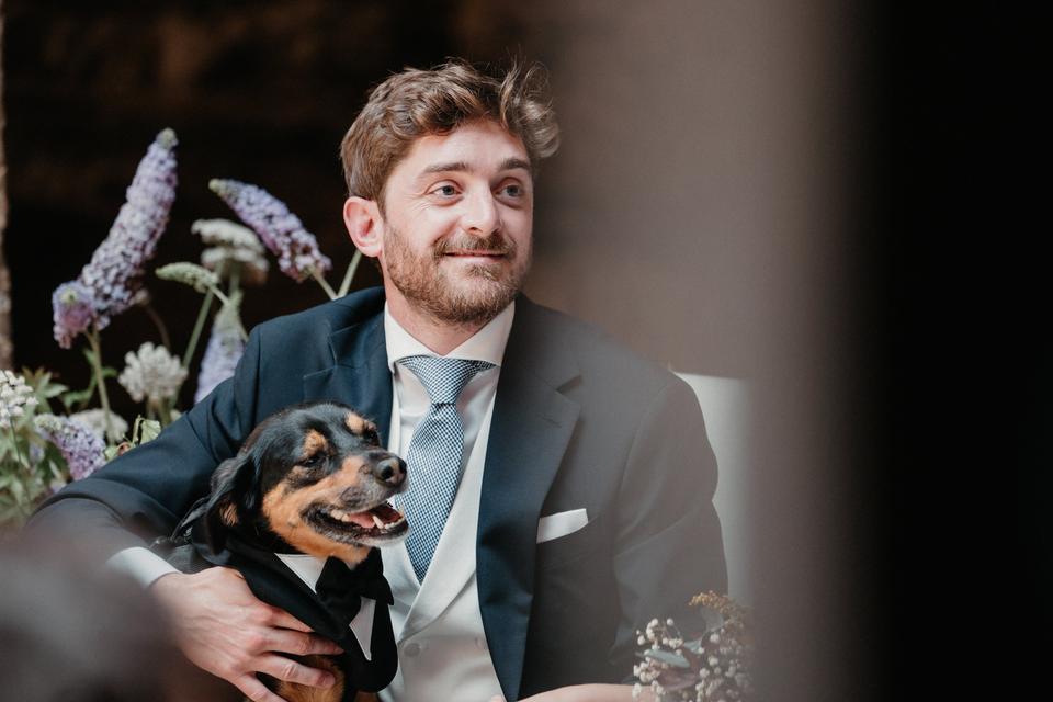 Bodas con perros. 7 maneras de incluirlos el gran día