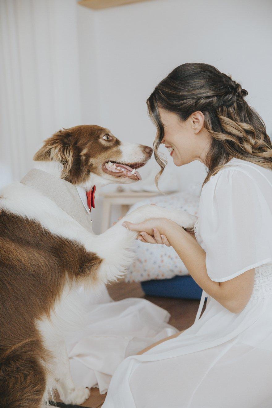 Bodas con perros. 7 maneras de incluirlos el gran día