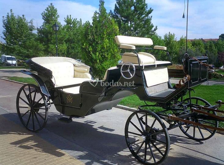 Coche de caballos Miguel Ocaña