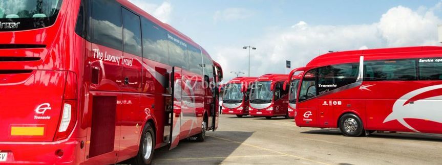 Autocares Transvia
