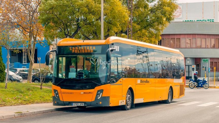 Autocares Transvia