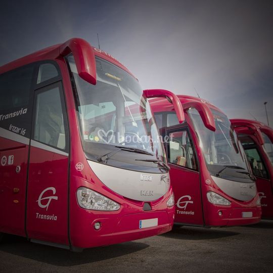 Autocares Transvia