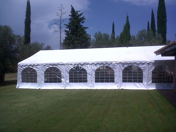 Carpa Stand