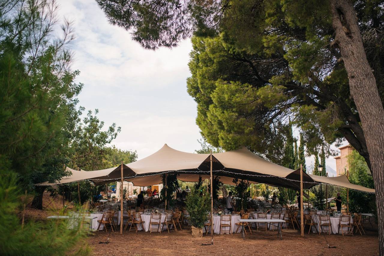 Barraca Fang i Pallús By Club Alcatí - Consulta disponibilidad y precios