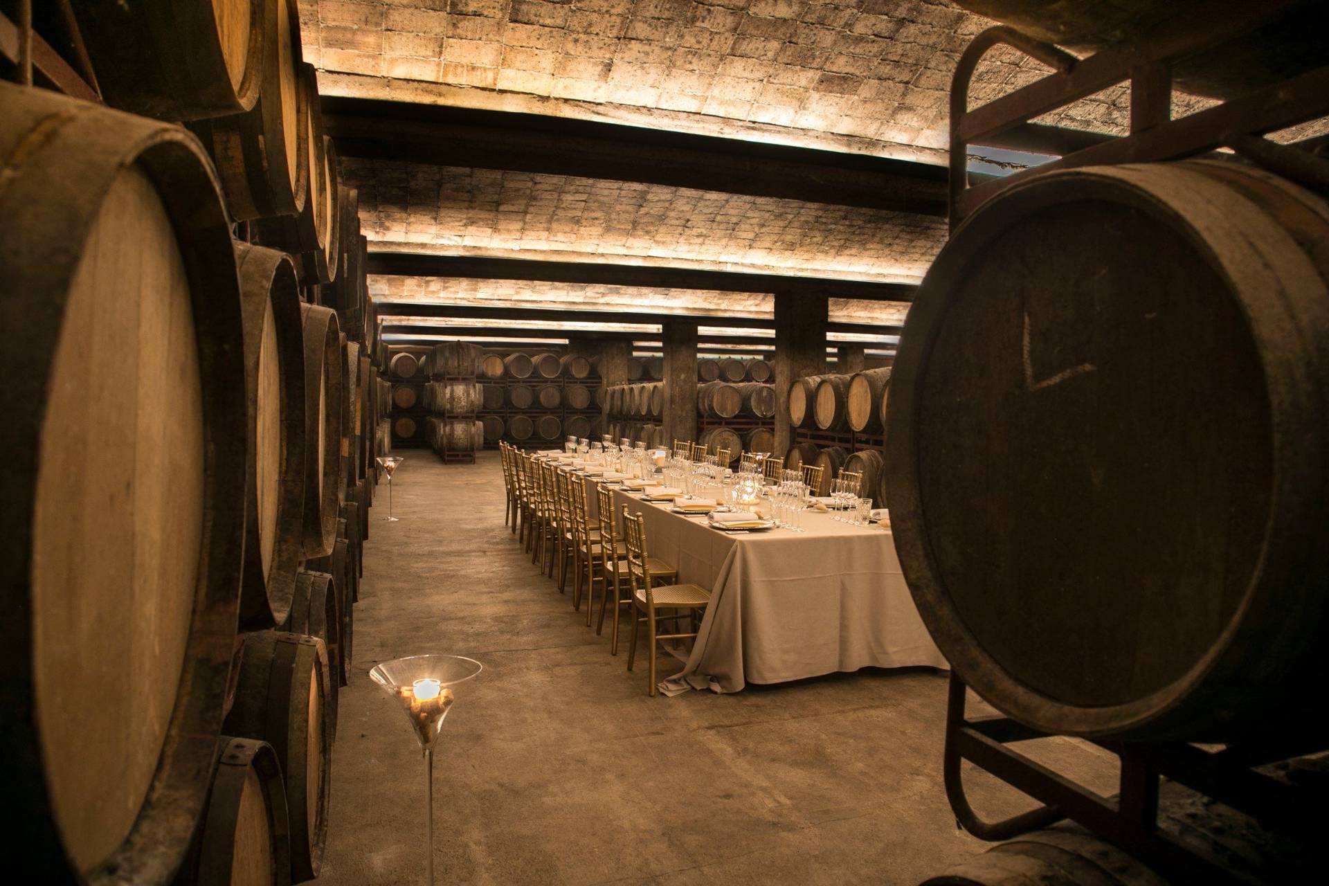 Freixenet - Consulta disponibilidad y precios