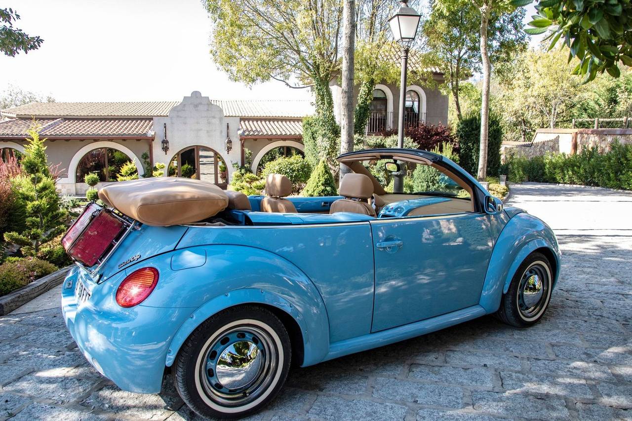 Chic Cars - Consulta disponibilidad y precios