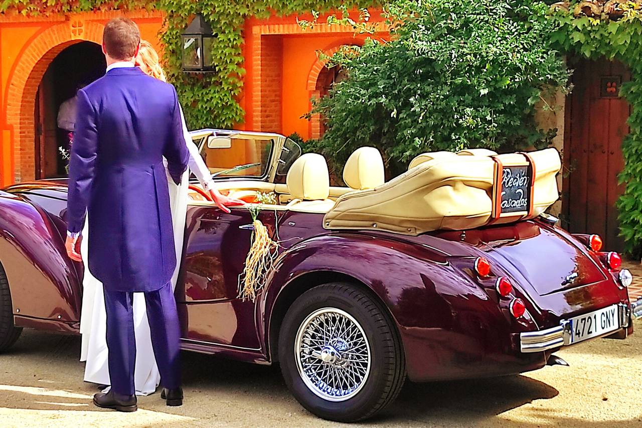Chic Cars - Consulta disponibilidad y precios