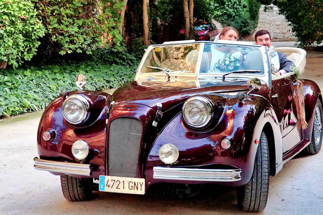Chic Cars - Consulta disponibilidad y precios