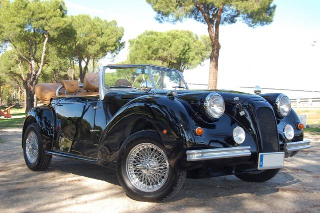 Chic Cars - Consulta disponibilidad y precios