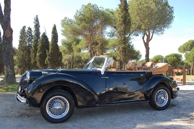 Chic Cars - Consulta disponibilidad y precios