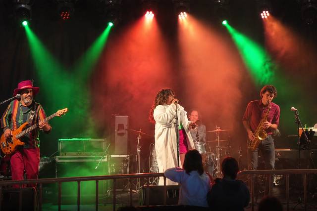 The Soul Train Band - Consulta disponibilidad y precios